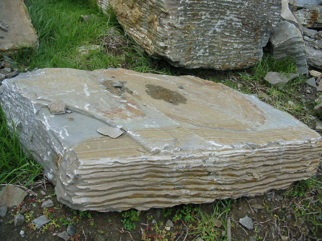 Gallery - Paradise Quarry